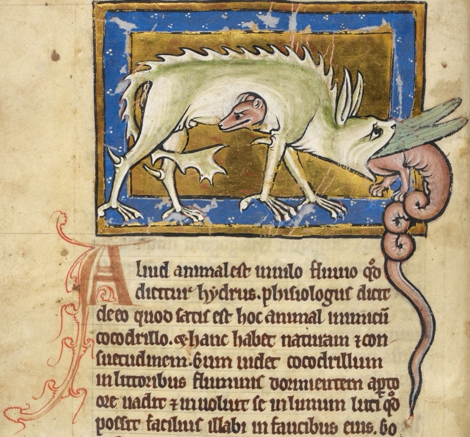 Lions, and Tigers, and Bonnacons: Zoology and Allegory in Medieval ...