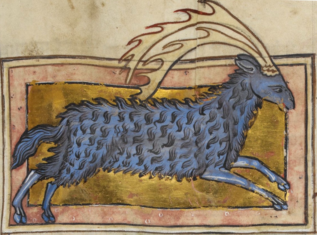 Lions, and Tigers, and Bonnacons: Zoology and Allegory in Medieval ...