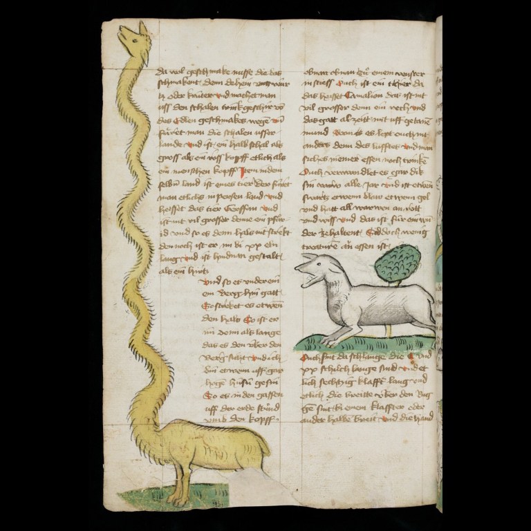 Lions, and Tigers, and Bonnacons: Zoology and Allegory in Medieval ...