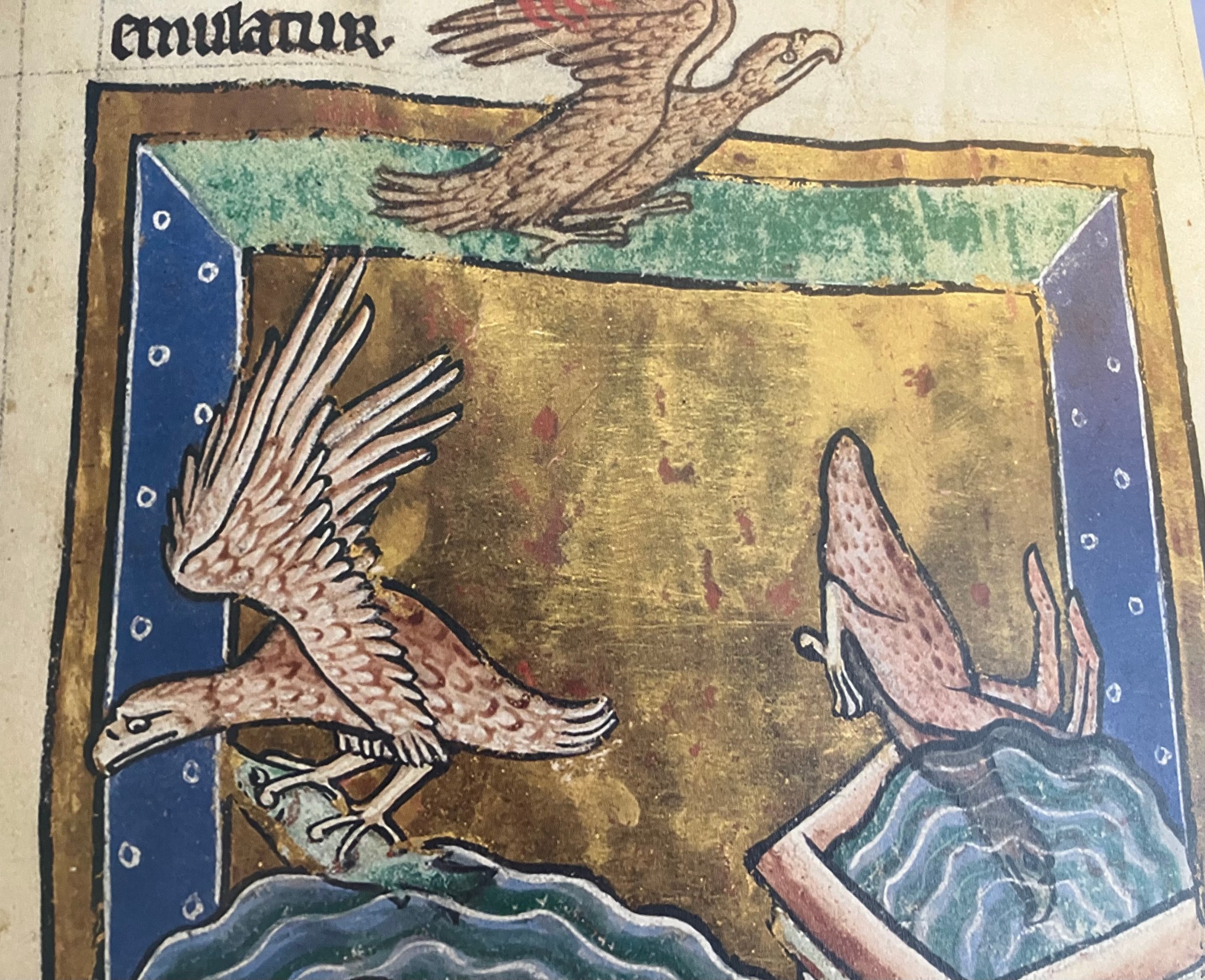 Lions, and Tigers, and Bonnacons: Zoology and Allegory in Medieval ...