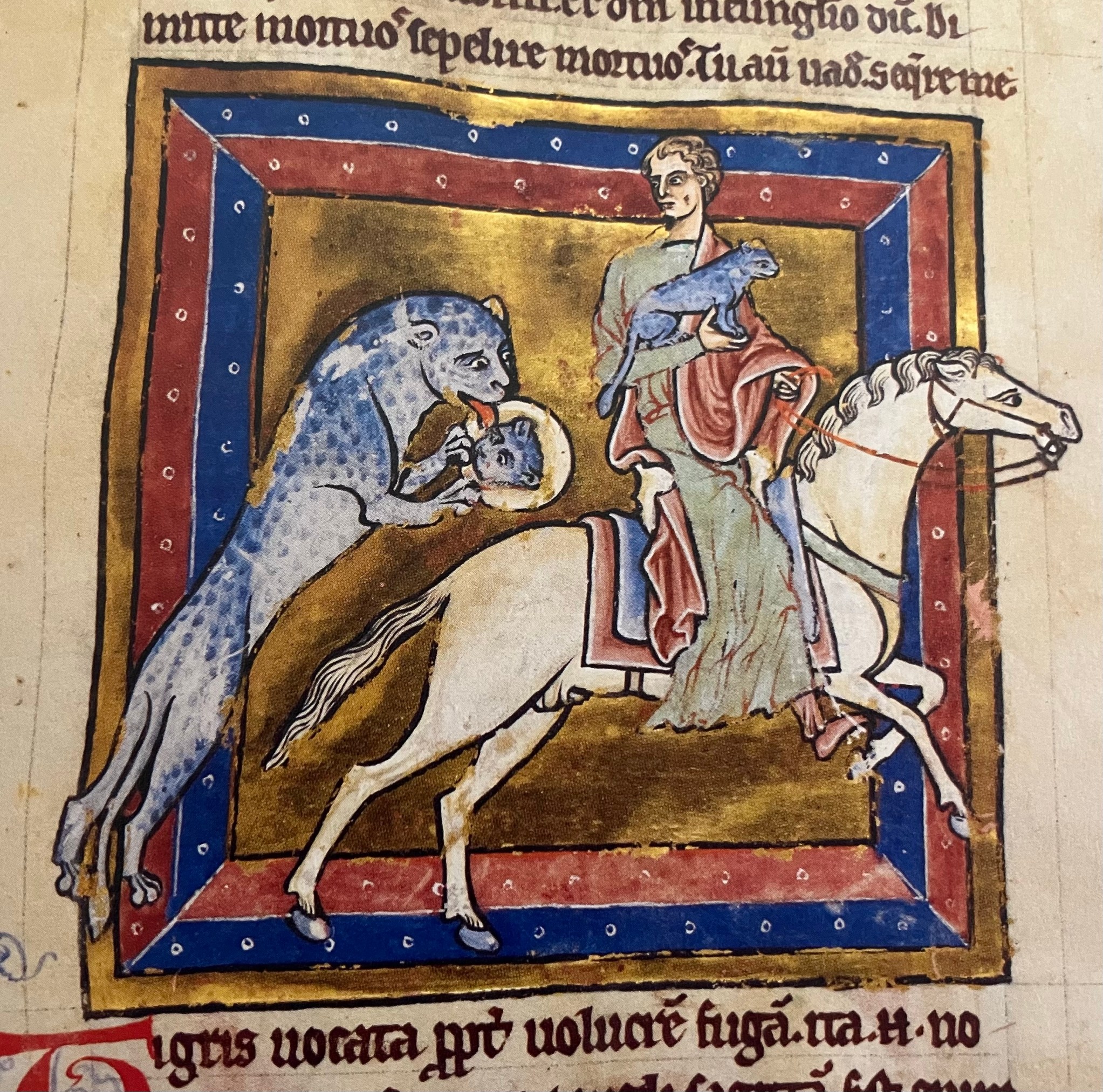 Lions, and Tigers, and Bonnacons: Zoology and Allegory in Medieval ...