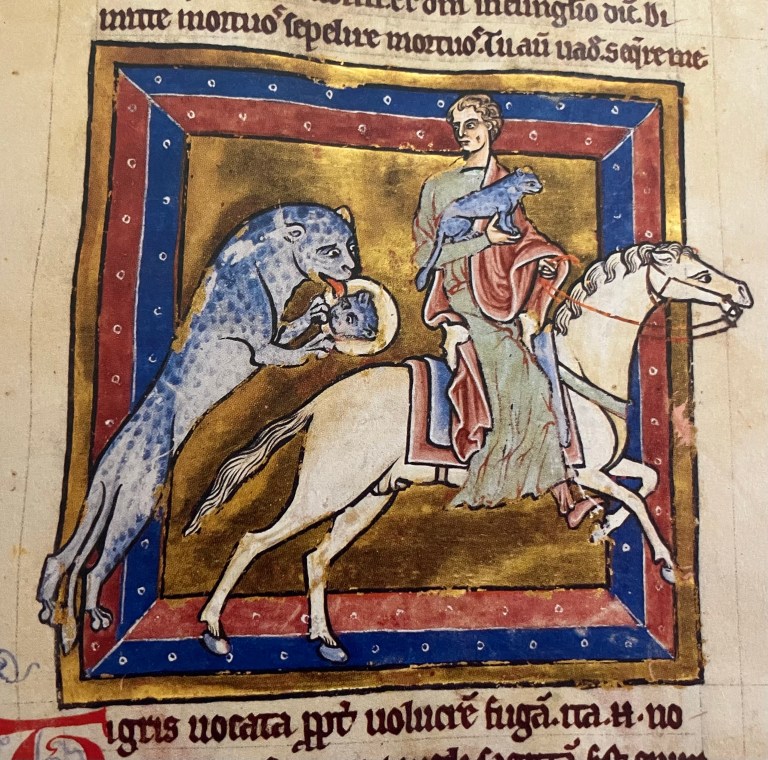 Lions, and Tigers, and Bonnacons: Zoology and Allegory in Medieval ...